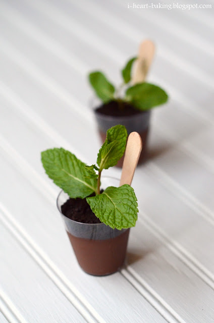i heart baking!: potted plant chocolate puddings