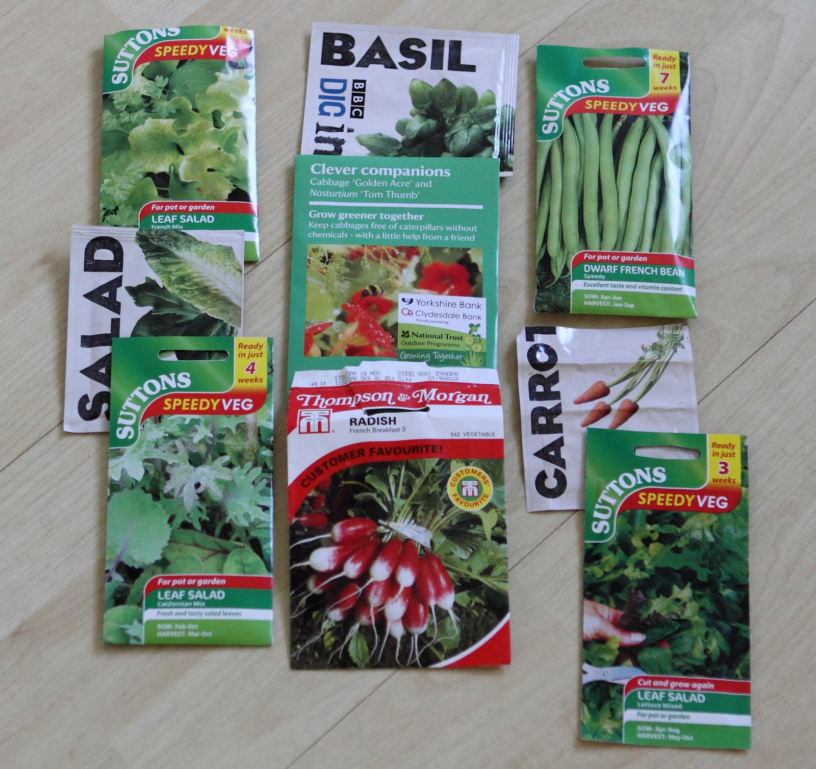 Container Gardening - Sowing Seeds