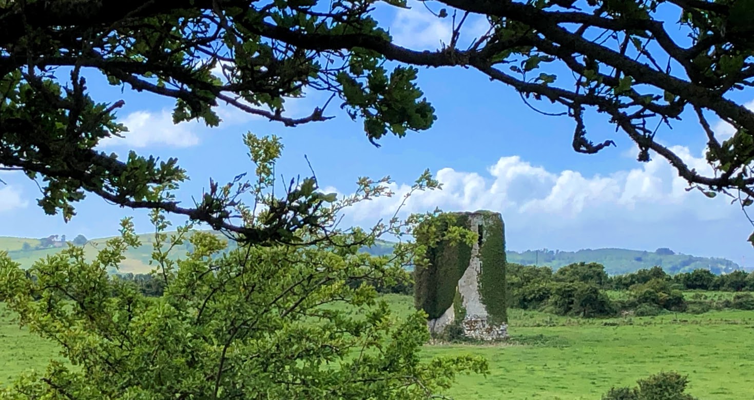 Patrick Comerford: Dysert Castle and a holy well near Askeaton with ...