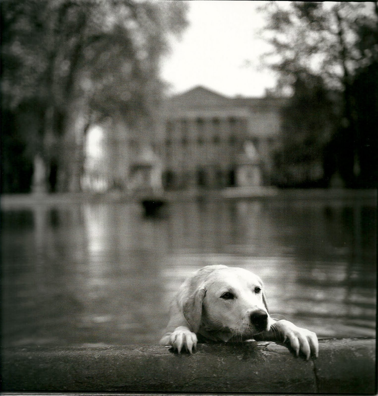 ::B L O G H I S T A∙P E R∙C A S O:: : Keith Carter