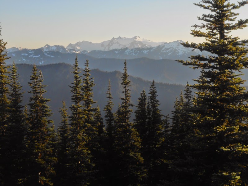 Val-Di-Ree: Obstruction Point to Dosewallips River, July 23-26, 2013