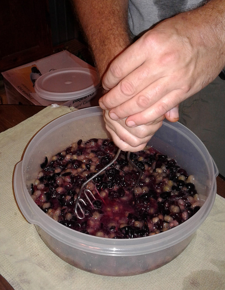 Adventures in Winemaking – maitrihomestead.com