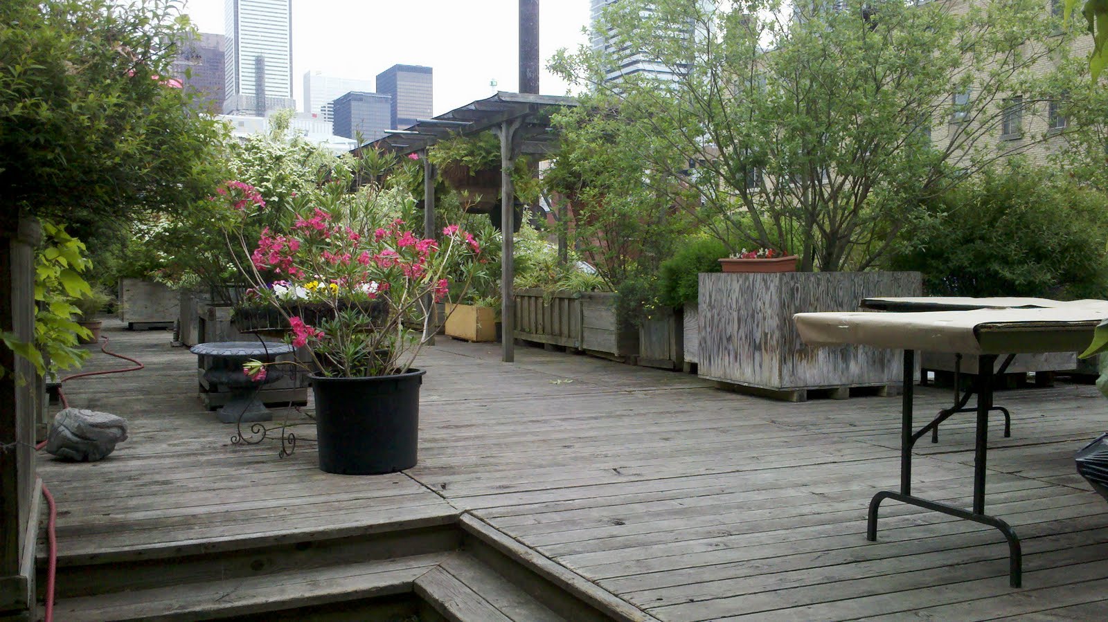 Funfundfunfzig: How to Enjoy Yourself in Toronto