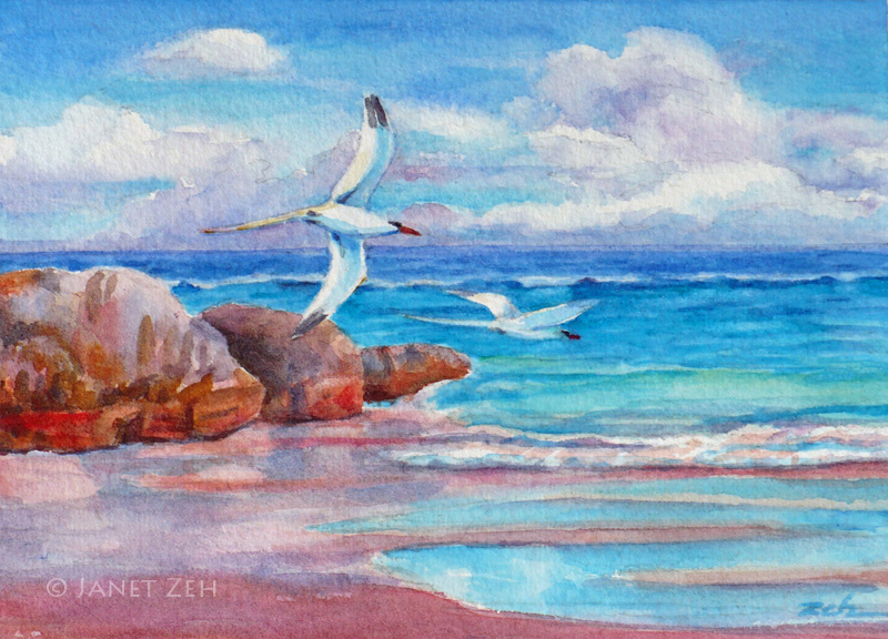 Zeh Original Art Blog Watercolor and Oil Paintings: Bermuda Longtails ...