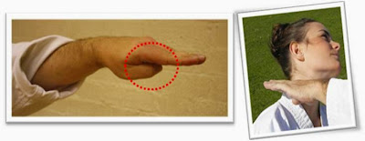 Karatepedia-Indonesia: Rahasia dibalik Haito Uchi