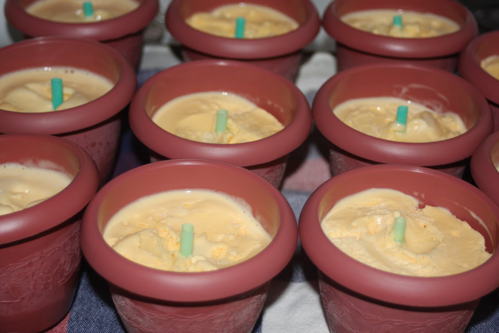 Creating Domestic Bliss!: Flower Pot Dessert