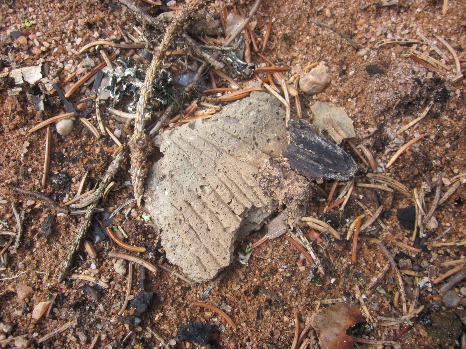 Jan Fast Archaeology : Introducing the early comb ceramic culture to ...