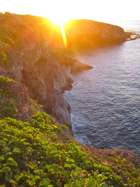 Peyt's Island: A Trip to Saipan Island