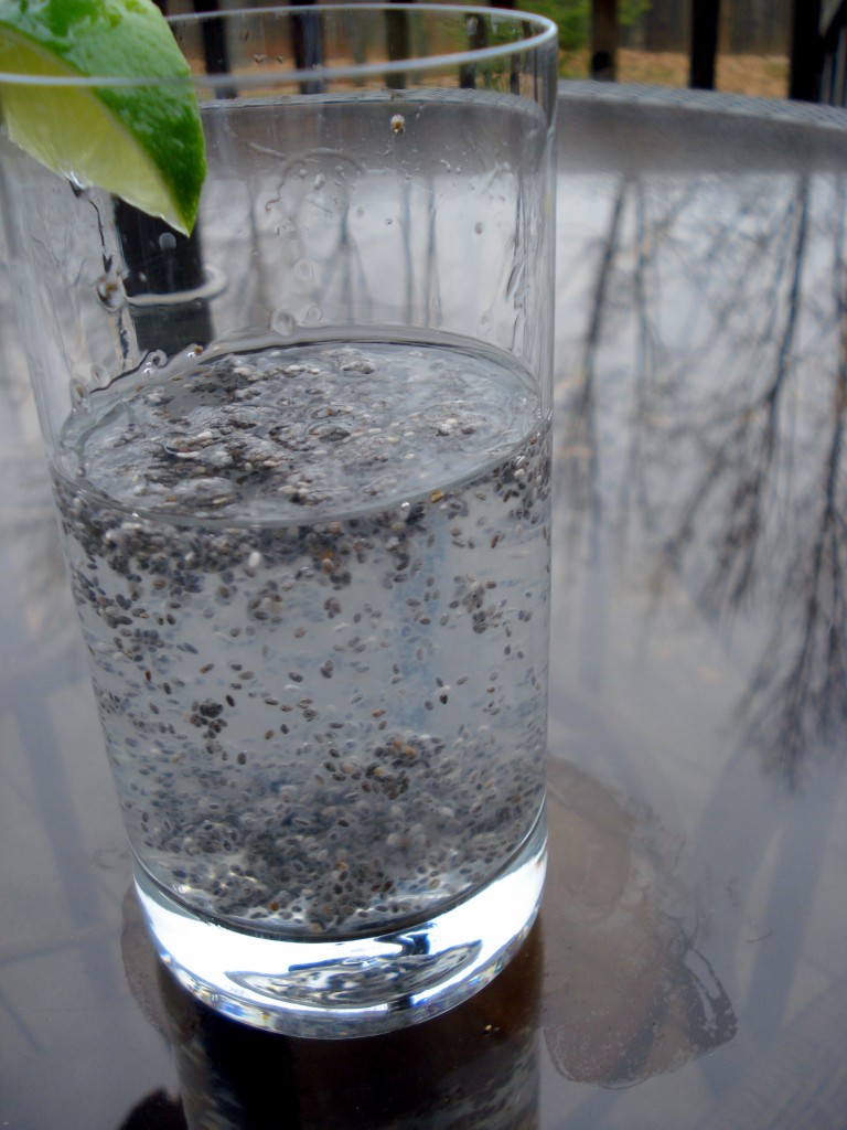 Primal North Recipes: Iskiate or Chia Fresca