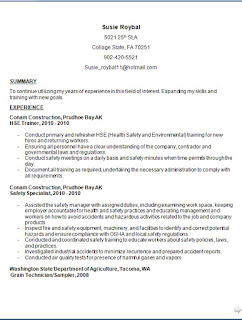 HSE Trainer Sample Resume Format in Word Free Download