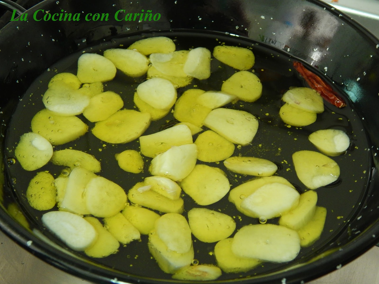 LISAS O ALBURES A LA ESPALDA CON AJADA