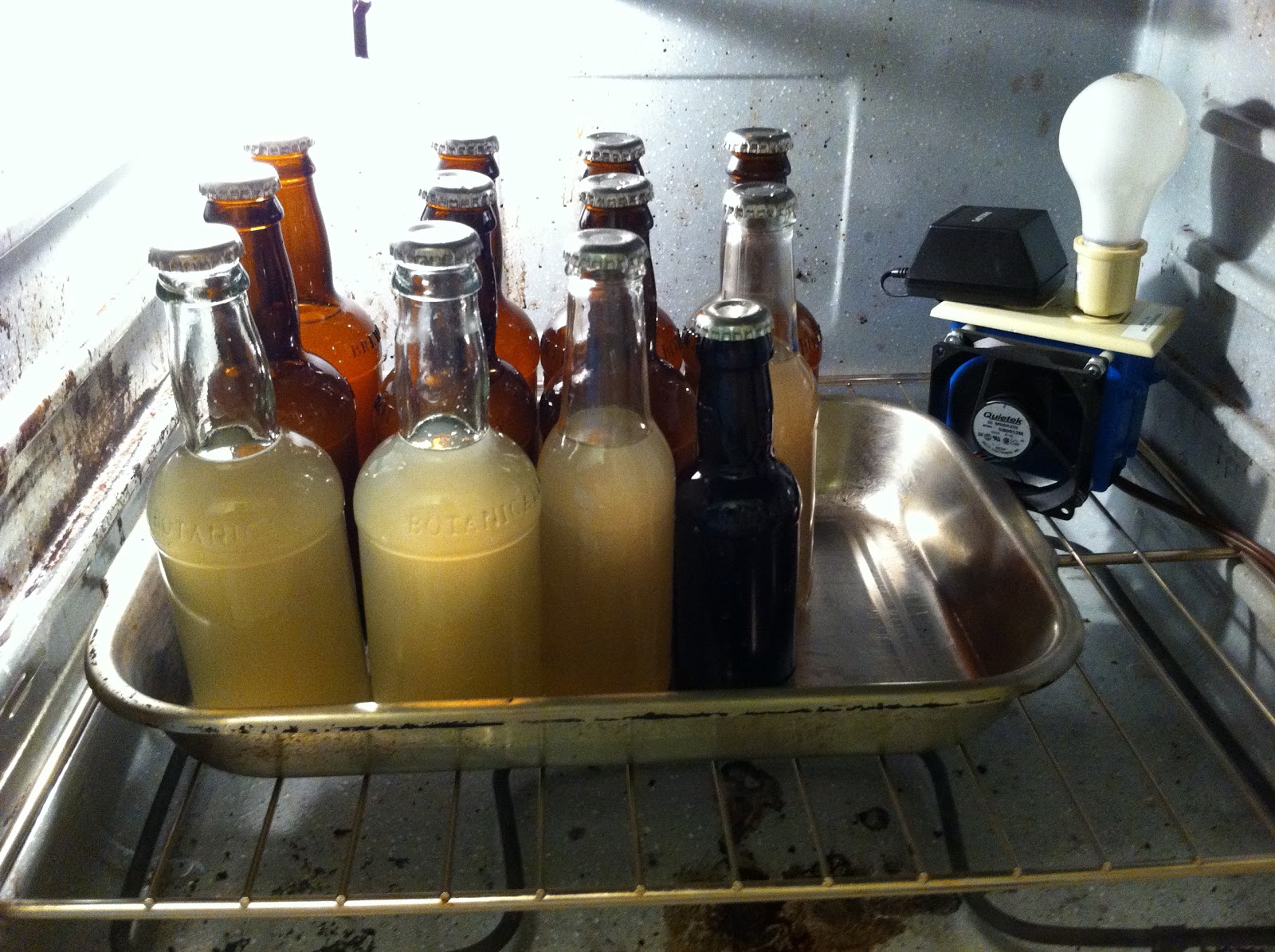 Home Brew Root Beer