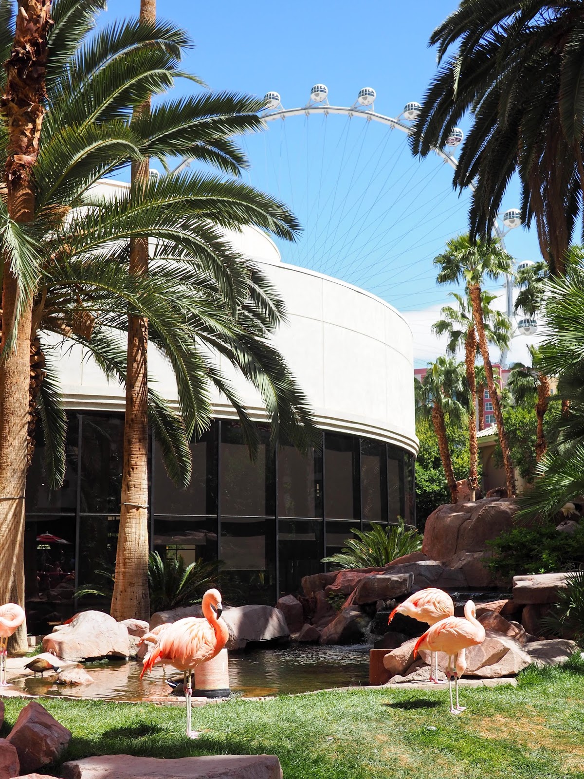 Little Hiccups: Spring Break 2016: Las Vegas