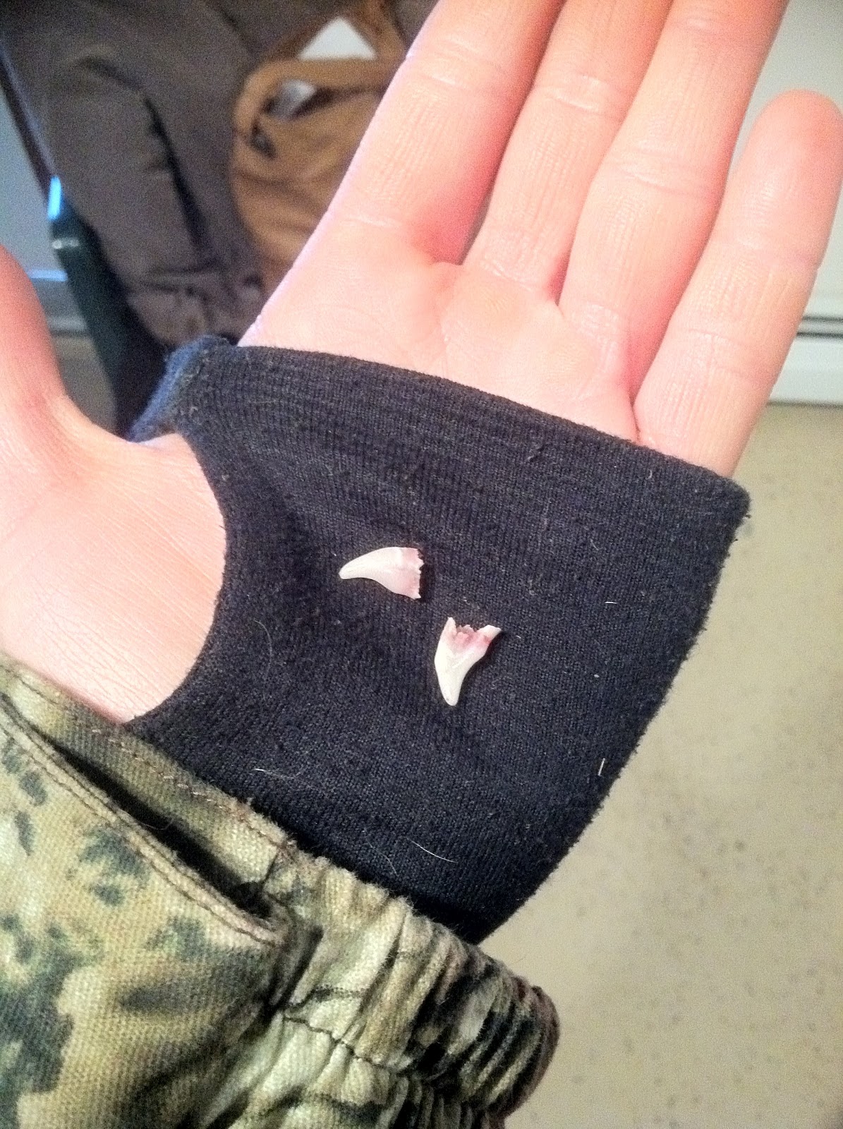 Trainer's Blog: Footprints On My Heart