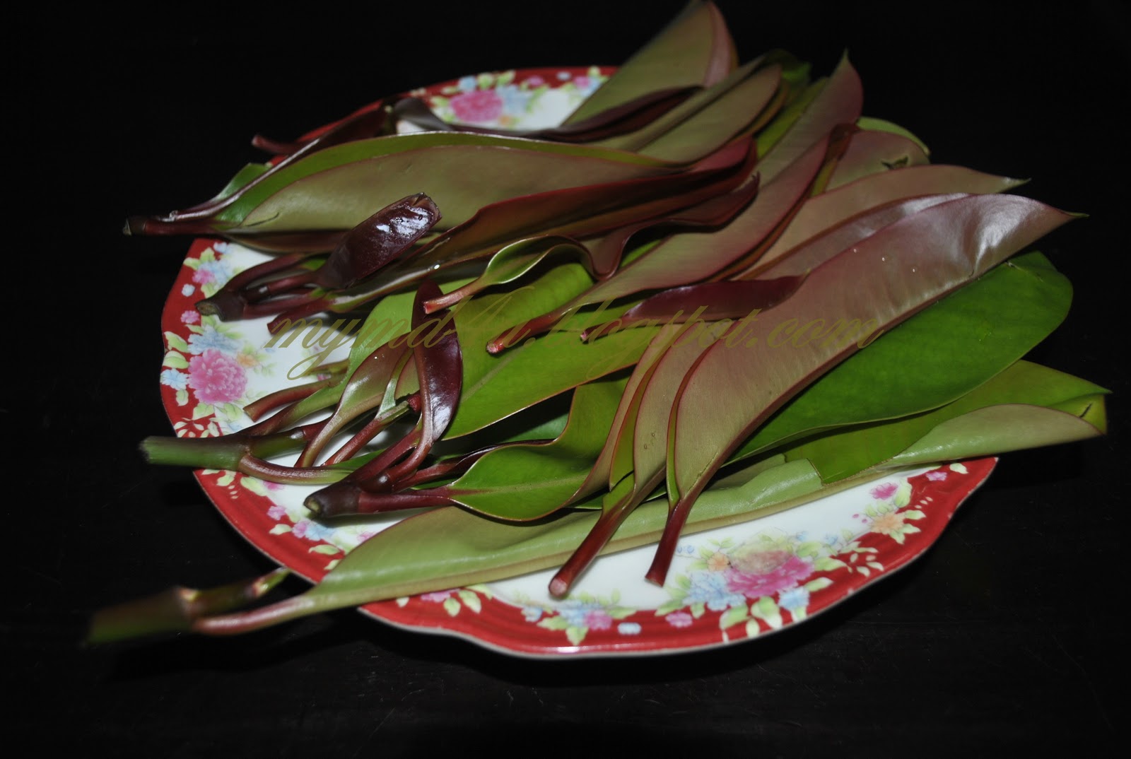 MD: Ulam Pucuk Asam Gelugor