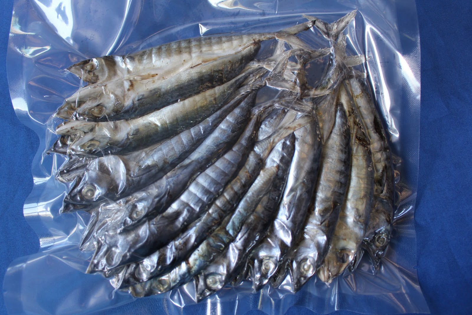 DOST Biliran PSTC: DOST-VIII trains Culaba Fisherfolks in advance fish ...