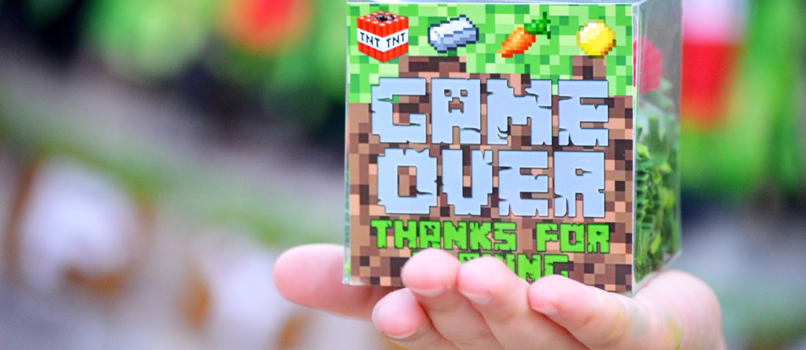 Minecraft Party Ideas - Simply Sprout