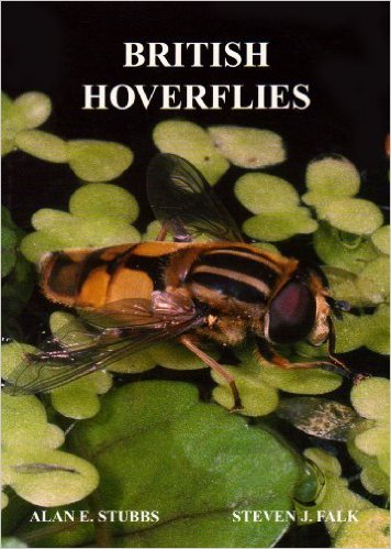 Syrphing Time: Hoverfly identification: getting started