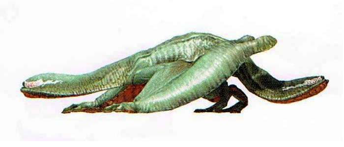 Monster Hunter's site: info:quadrupedal wyverns