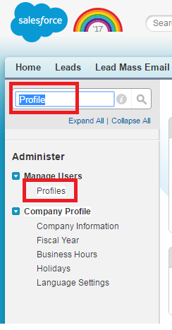 Create a custom profile in Salesforce