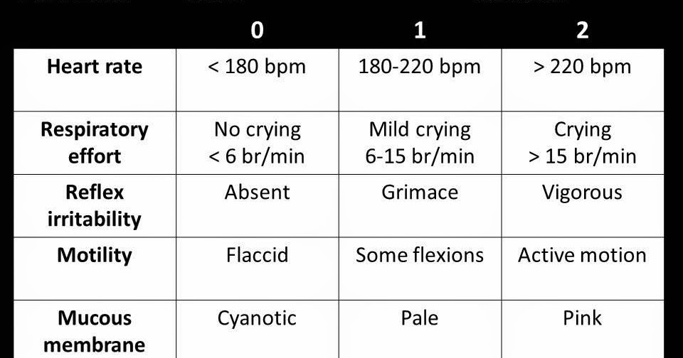 Veterinary ECC Small Talk: Neonatal puppy viability: modified APGAR score
