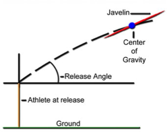 HLPE3531 Biomechanics Blog