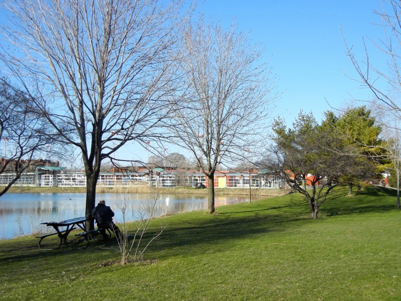 Love me less, but love me longer: Angrignon, parc de Montréal posé à ...