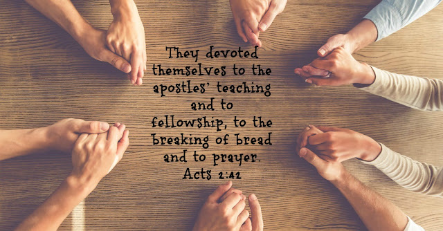 Scripture Saturday~Koinonia - Women in the Word