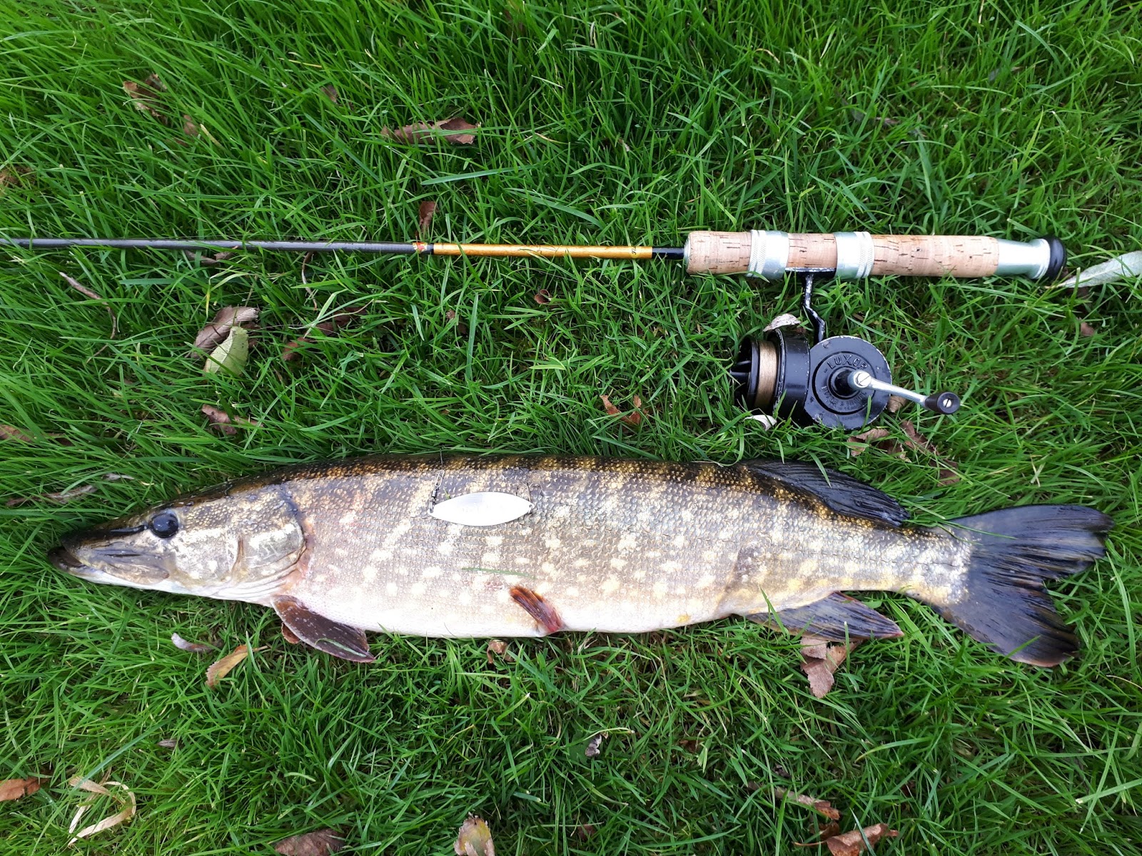 Struinen door de Polder: Fryslân boppe