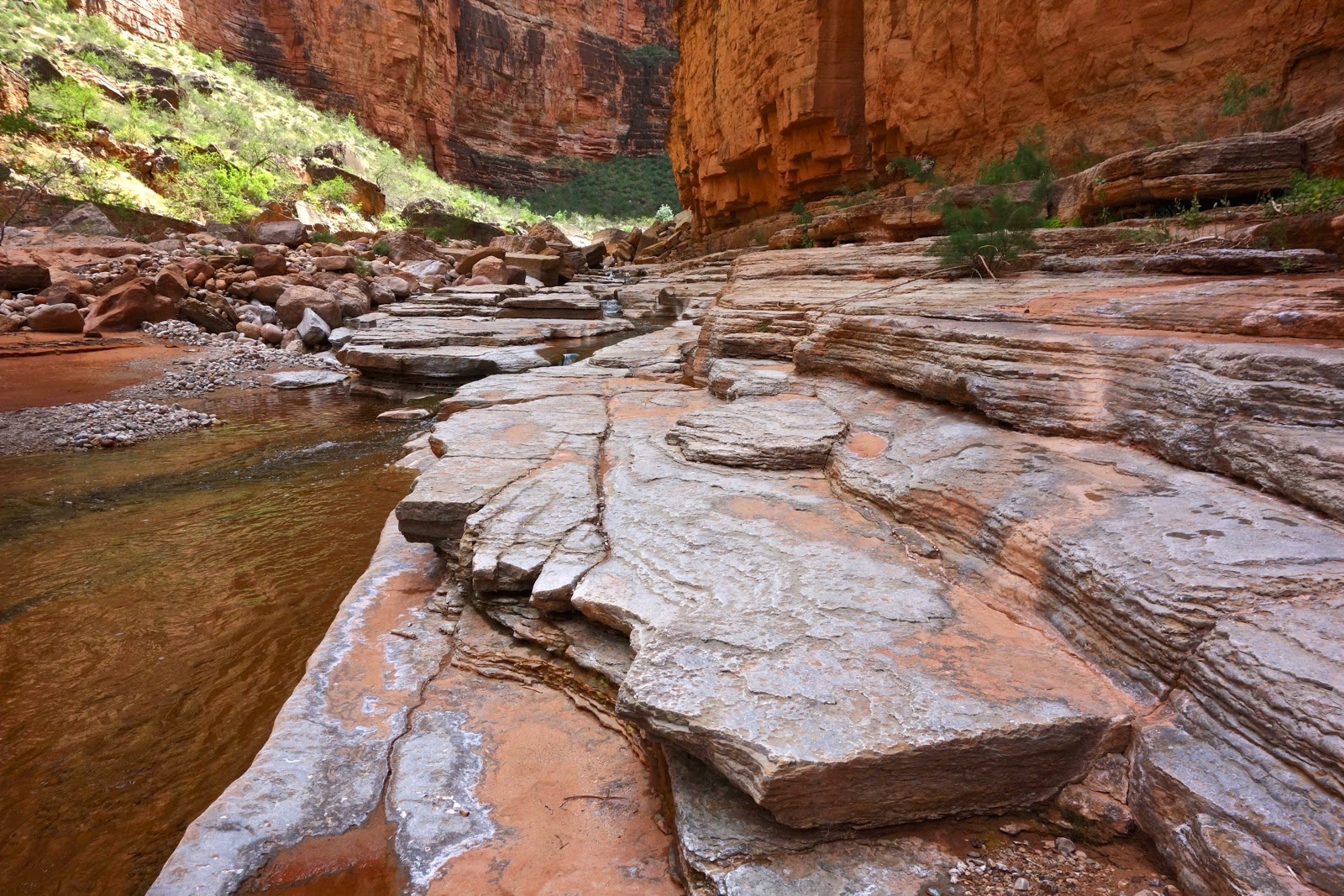 Earthline: The American West: Grand Canyon National Park: Kanab Creek ...