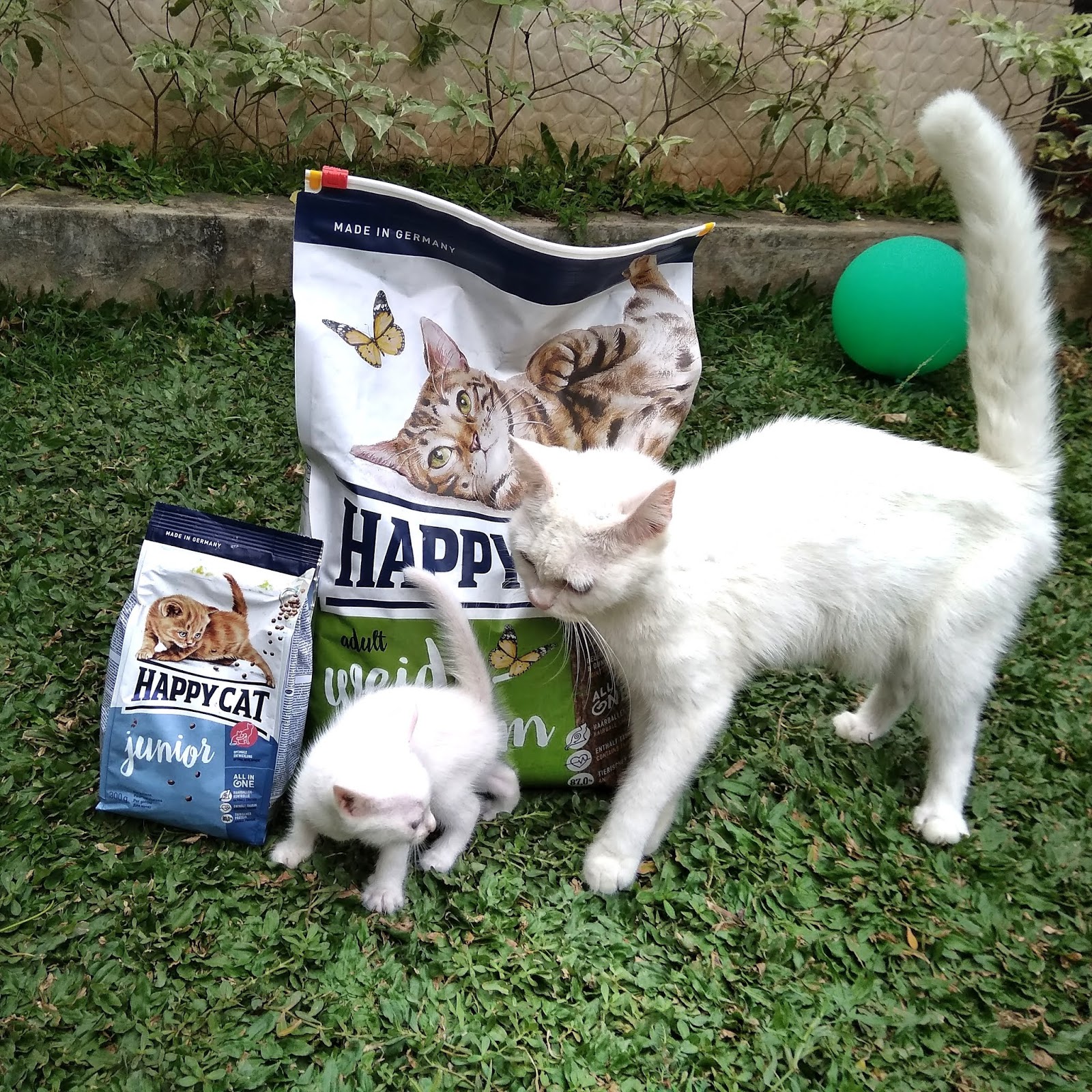 HAPPY CAT : Makanan Berkualitas dari Jerman Untuk Kucing Kesayangan Kami