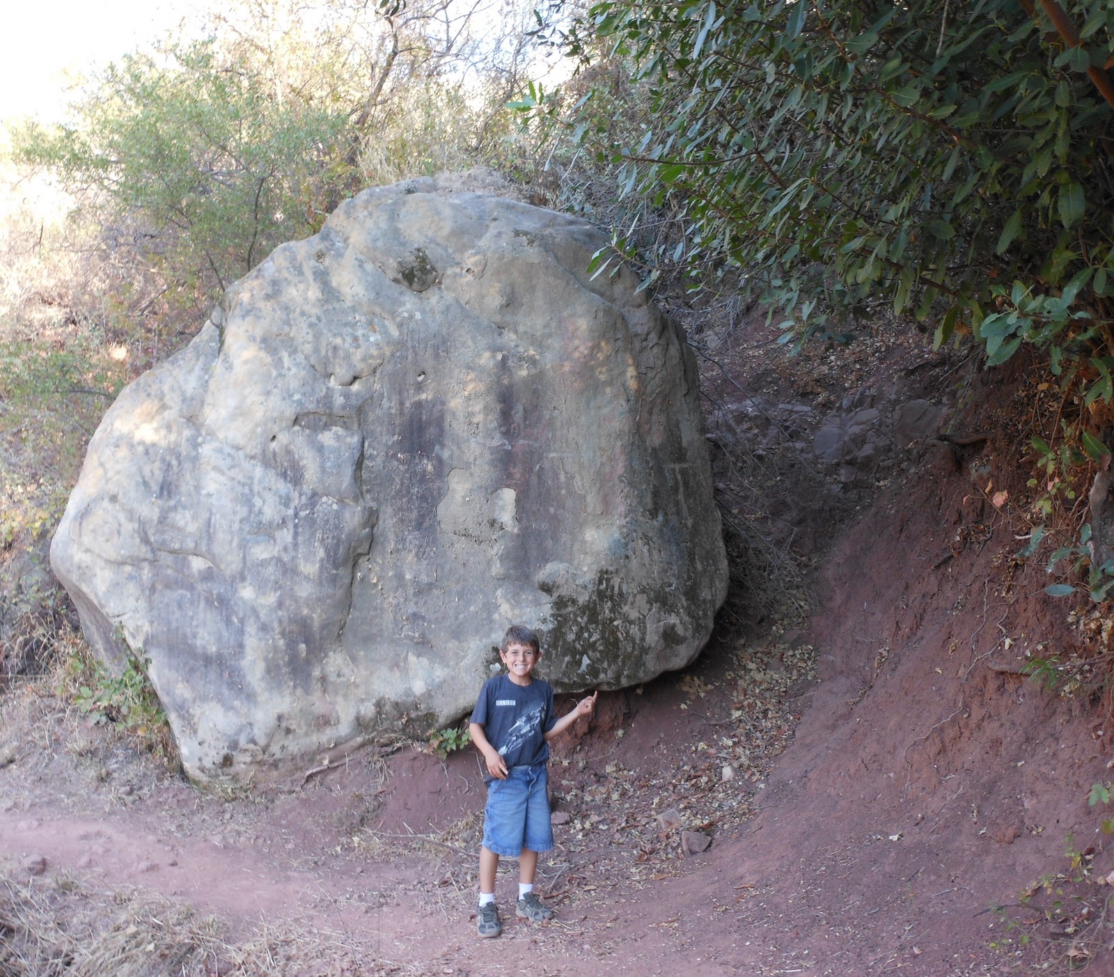 1000 Hikes in 1000 Days: Completing Days 300 - 309: Cozy Dell Trail