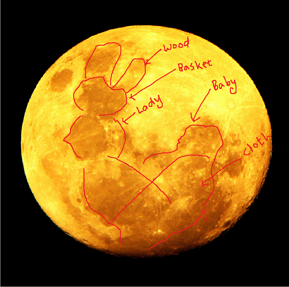 TheSweepingSwallow: The lady in the moon