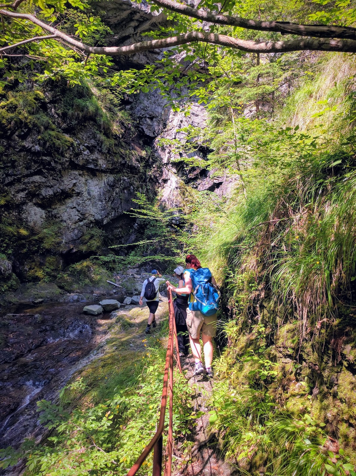 Traseu în munții Făgăraș: Valea lui Stan, Poiana Călugărița, Barajul ...
