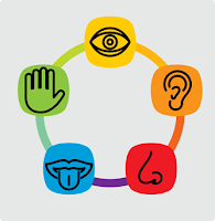 Introducción... Importancia de los Sistemas Sensoriales