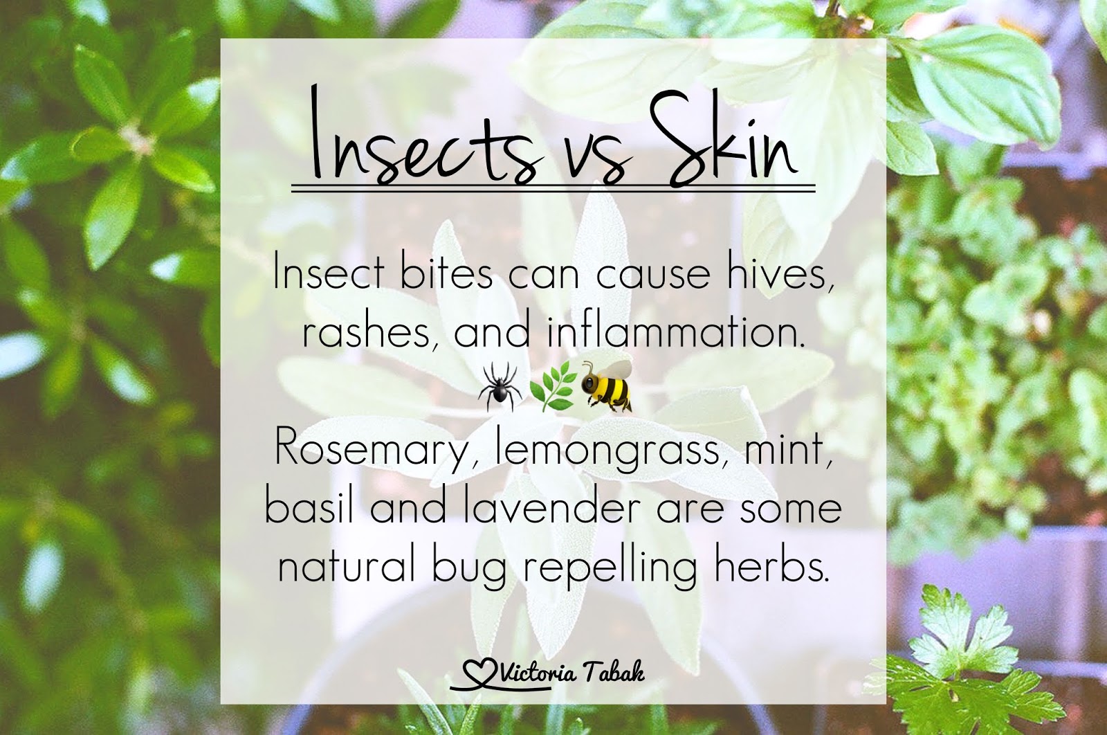 Insects and the Skin
