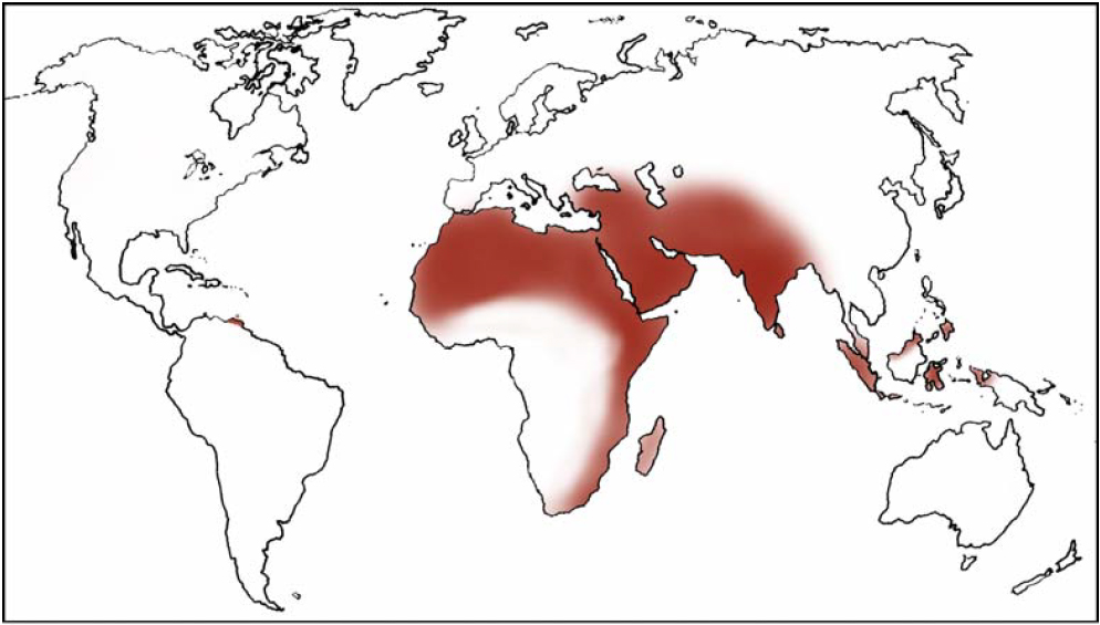 Ask for the good way,walk in it,you will find rest