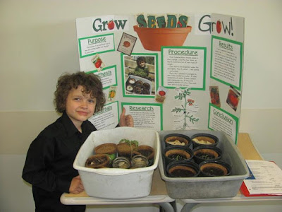 Northern Illinois Regional Science Fair: Display Boards