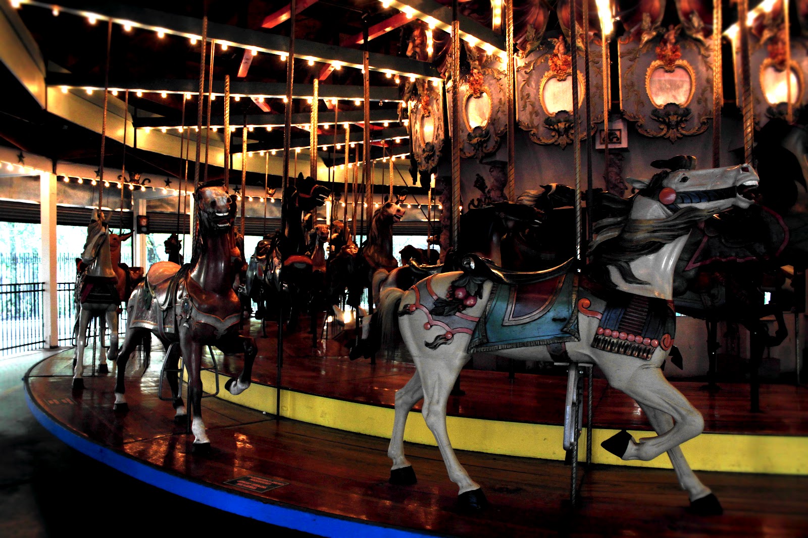 Forever Hills [Forest Hills, NY blog]: Carousel [Forest Park]