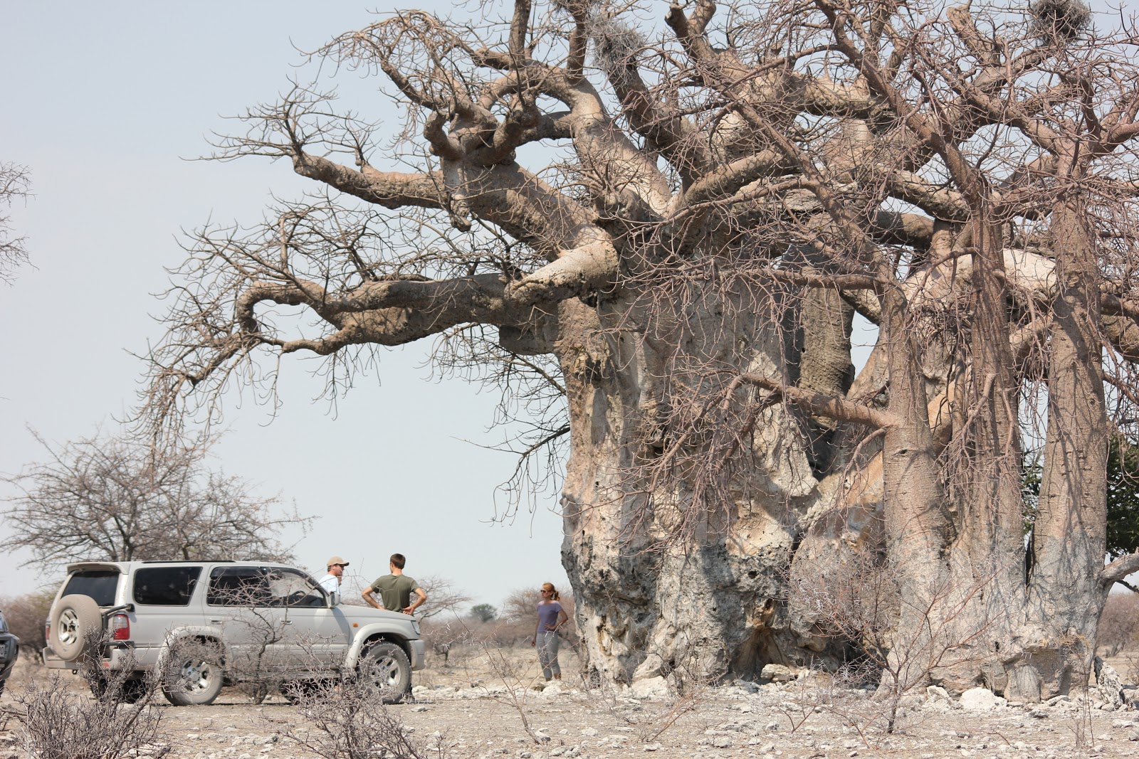 Revisiting Kubu Island