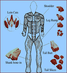 Geoff Nicholson - PSYCHOGOURMET : WITH THE PIGS IN AMERICA