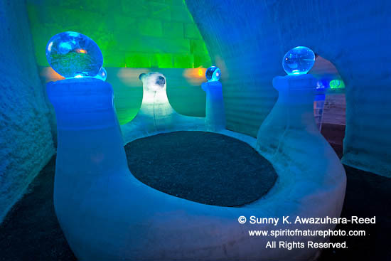 Sunny in Wilderness: Ice "Hotel" Museum