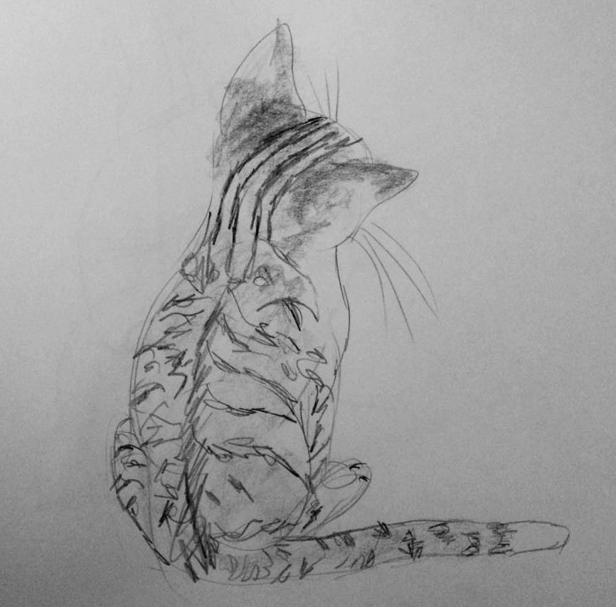 Good Books For Young Souls: Don't Miss Out On Finnigan the Circus Cat!