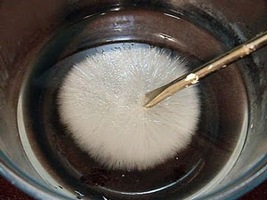 feira de ciencias: Gelo quente instantâneo