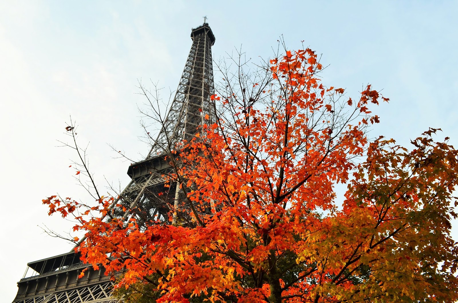 L'Automne à Paris - Parisian touch