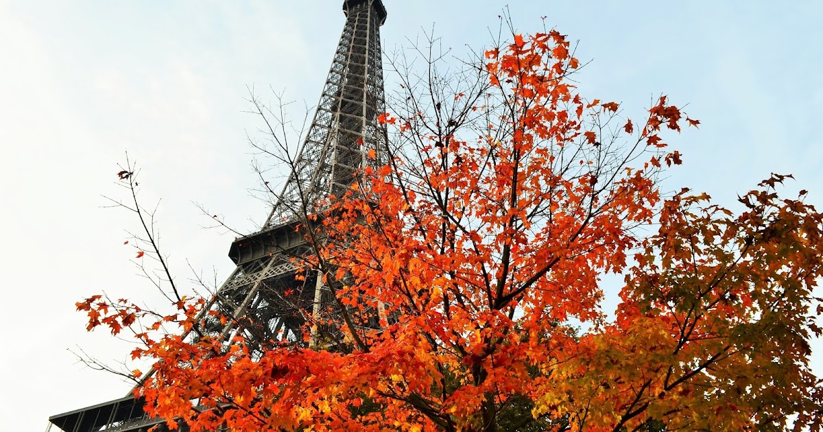 L'Automne à Paris - Parisian touch