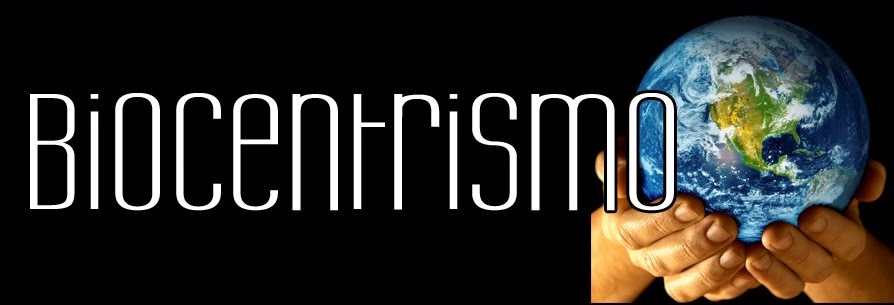 Telinha Educativa: A morte é só uma ilusão criada pela nossa consciência