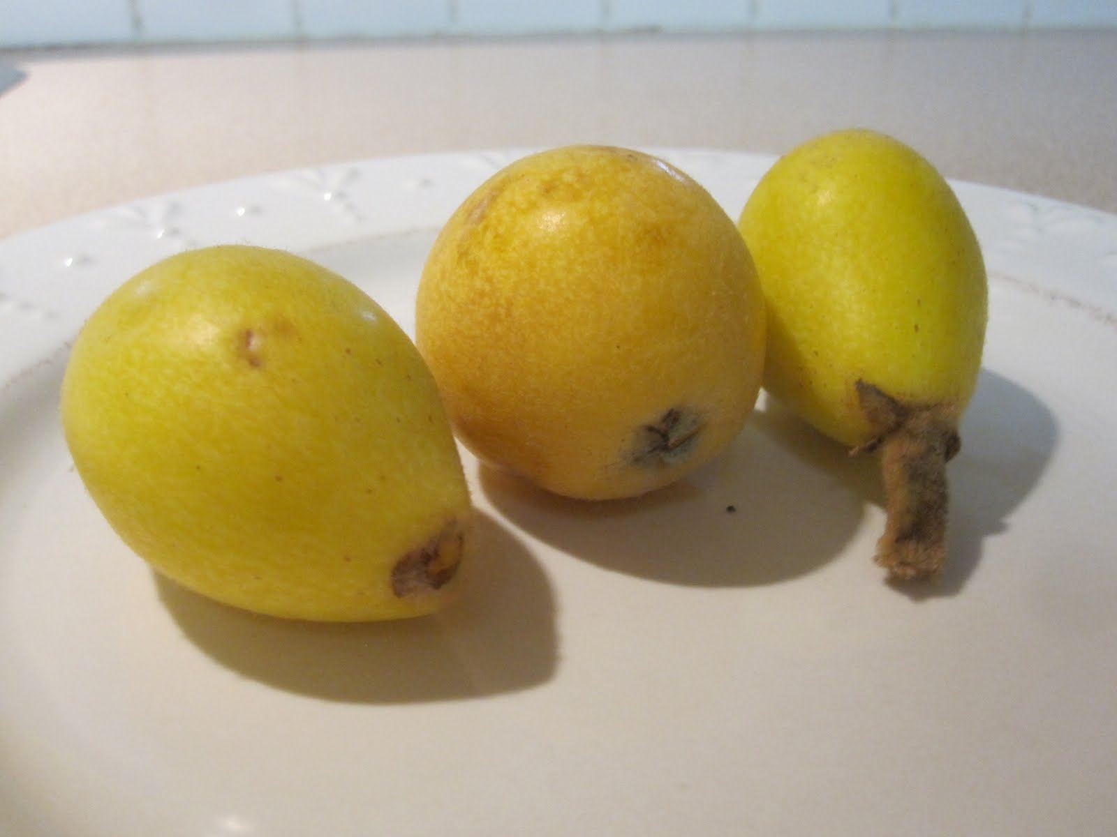 Yellow Fruit Like Kumquat at Elaine Hudson blog