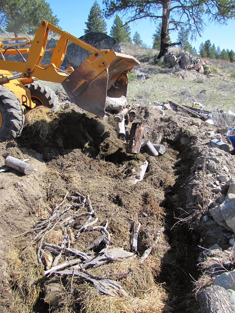 Wood for Food ~ Gardening with the Slow Burn of Rotting Wood: Aspen Hotbed