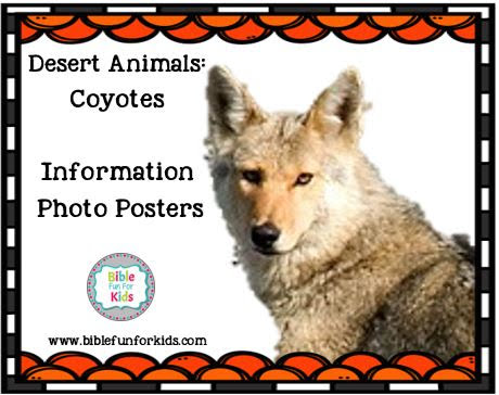 Bible Fun For Kids: God Makes the Desert Animals: Coyotes